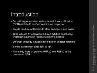 Characterizing RNF20 and RNF40 in Class Switching of B Cells | PPTX