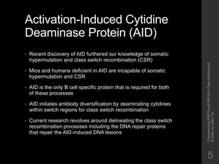 Characterizing RNF20 and RNF40 in Class Switching of B Cells | PPTX