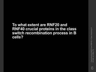Characterizing RNF20 and RNF40 in Class Switching of B Cells | PPTX