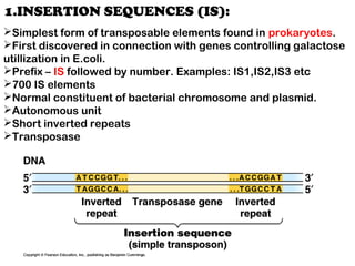 Is elements transposons final | PPT