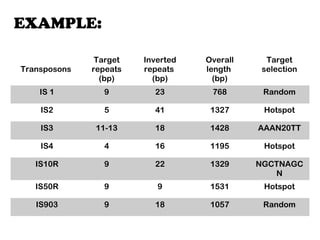 Is elements transposons final | PPT