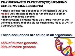 Is elements transposons final | PPT