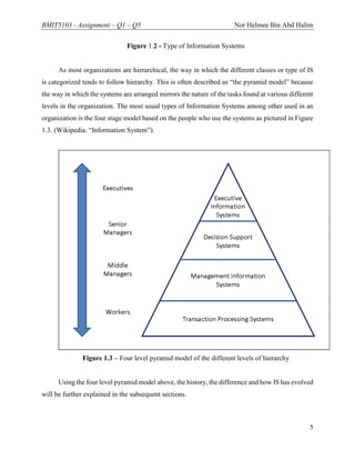 Information Systems Evolution (IS) | PDF