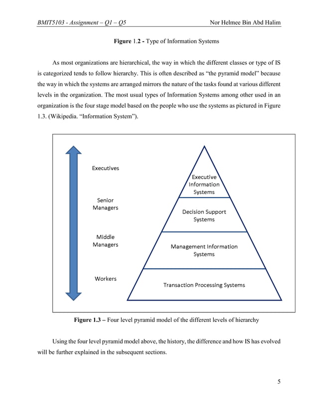 Information Systems Evolution (IS) | PDF
