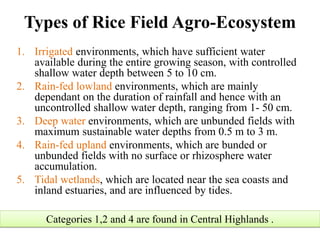 ISEWP rice field agro-ecosystem.pdf | Agriculture | Industries