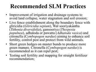 ISEWP rice field agro-ecosystem.pdf | Agriculture | Industries