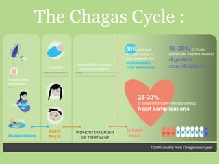 Chagas: A Neglected Disease | PPT | Digestive Disorders | Diseases and ...