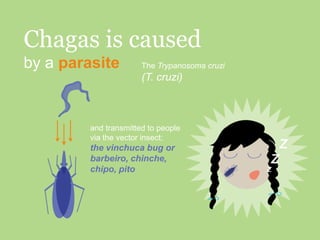 Chagas: A Neglected Disease | PPT | Digestive Disorders | Diseases and ...