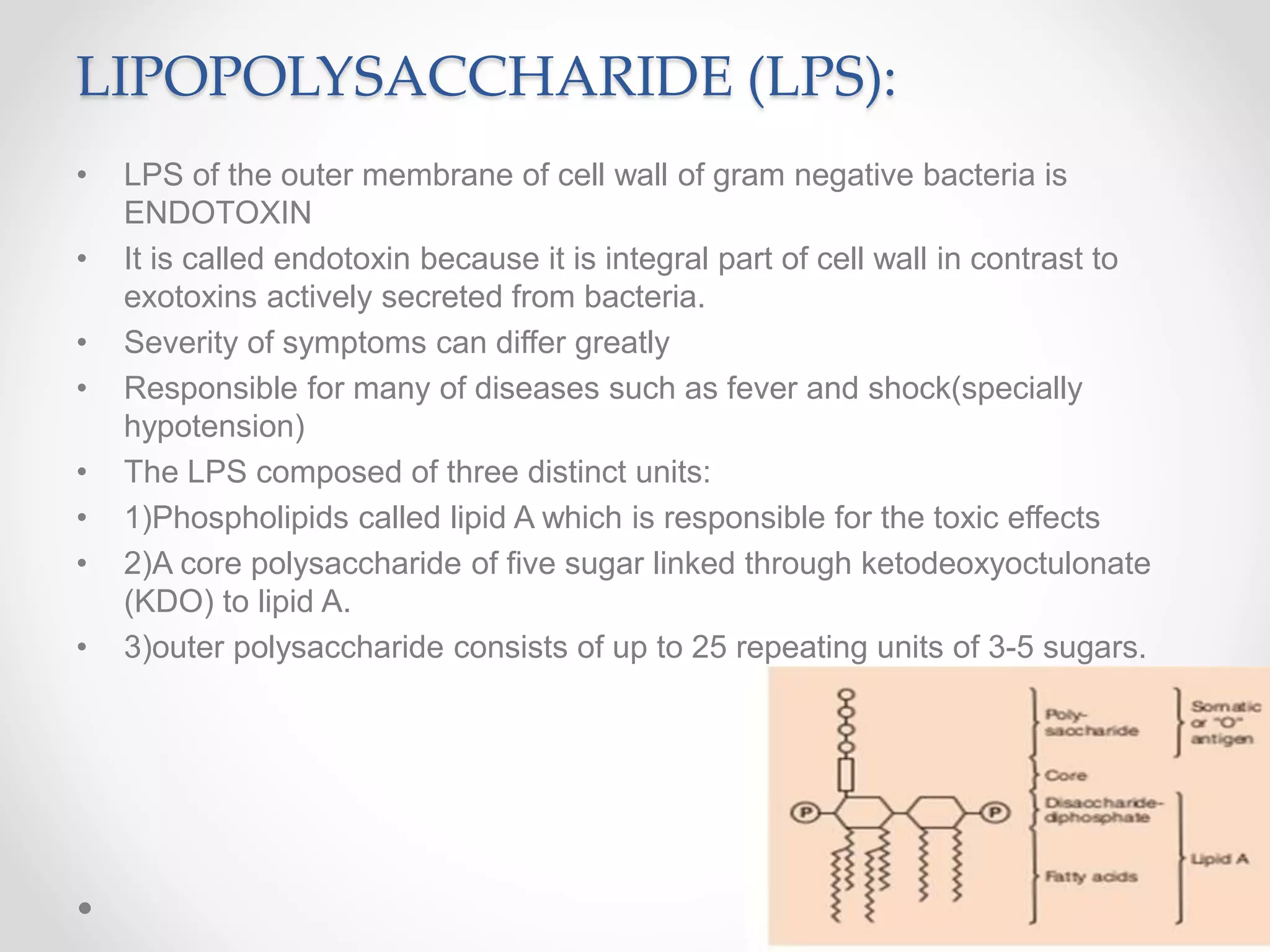 bacteria | PPTX