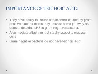 bacteria | PPT