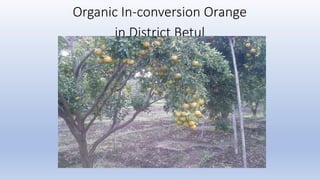 FPO Formation Process in Farming | PPTX