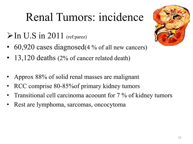 RENAL ANATOMY & RENAL CELL CANCERS | PPTX | Cancer | Diseases and ...