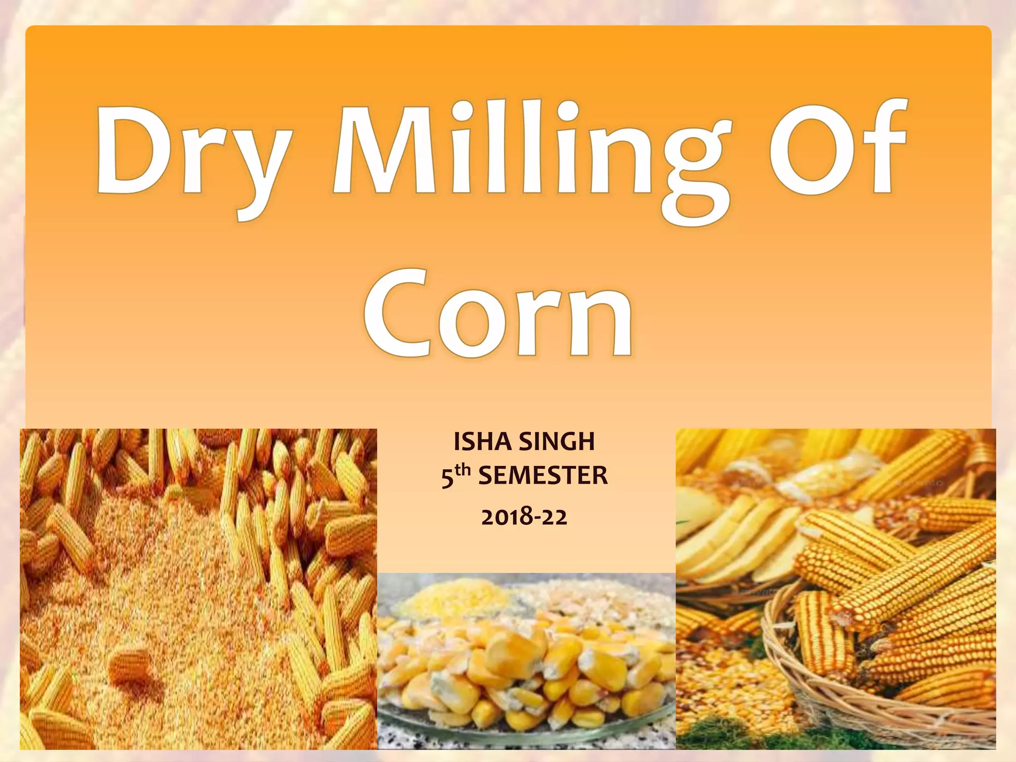 Isha singh dry milling of corn ppt | PPTX