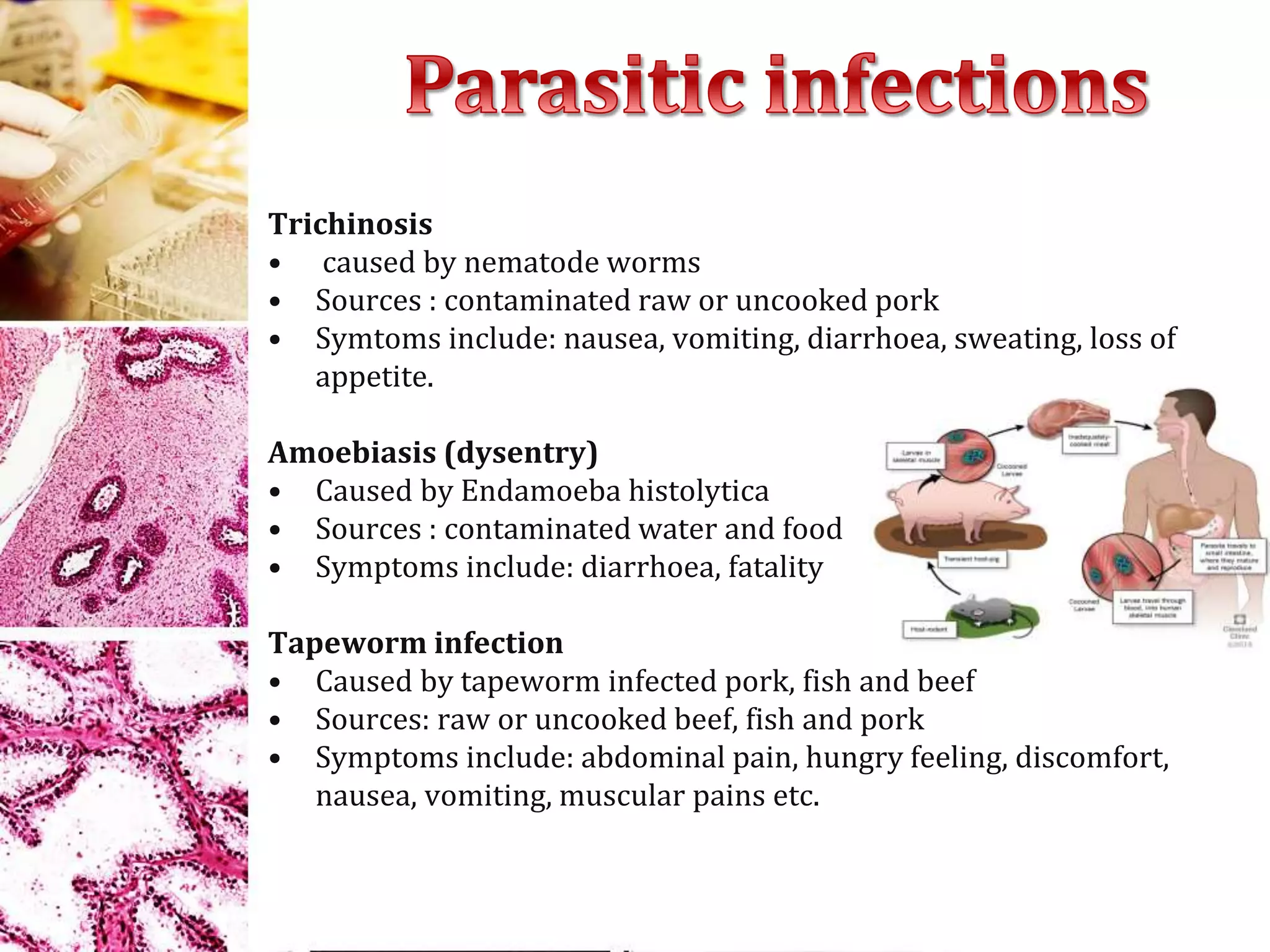 Isha singh important microorganisms in food sanitation | PPTX