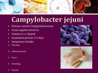 Isha singh important microorganisms in food sanitation | PPTX
