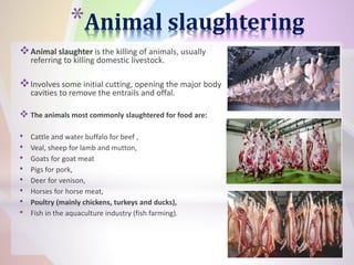 Isha singh scientific slaughtering of birds | PPTX