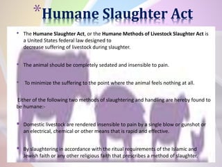 Isha singh scientific slaughtering of birds | PPTX