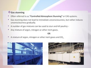 Isha singh scientific slaughtering of birds | PPTX