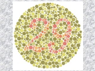 Ishiharatest | PPT