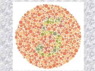 Ishiharatest | PPT