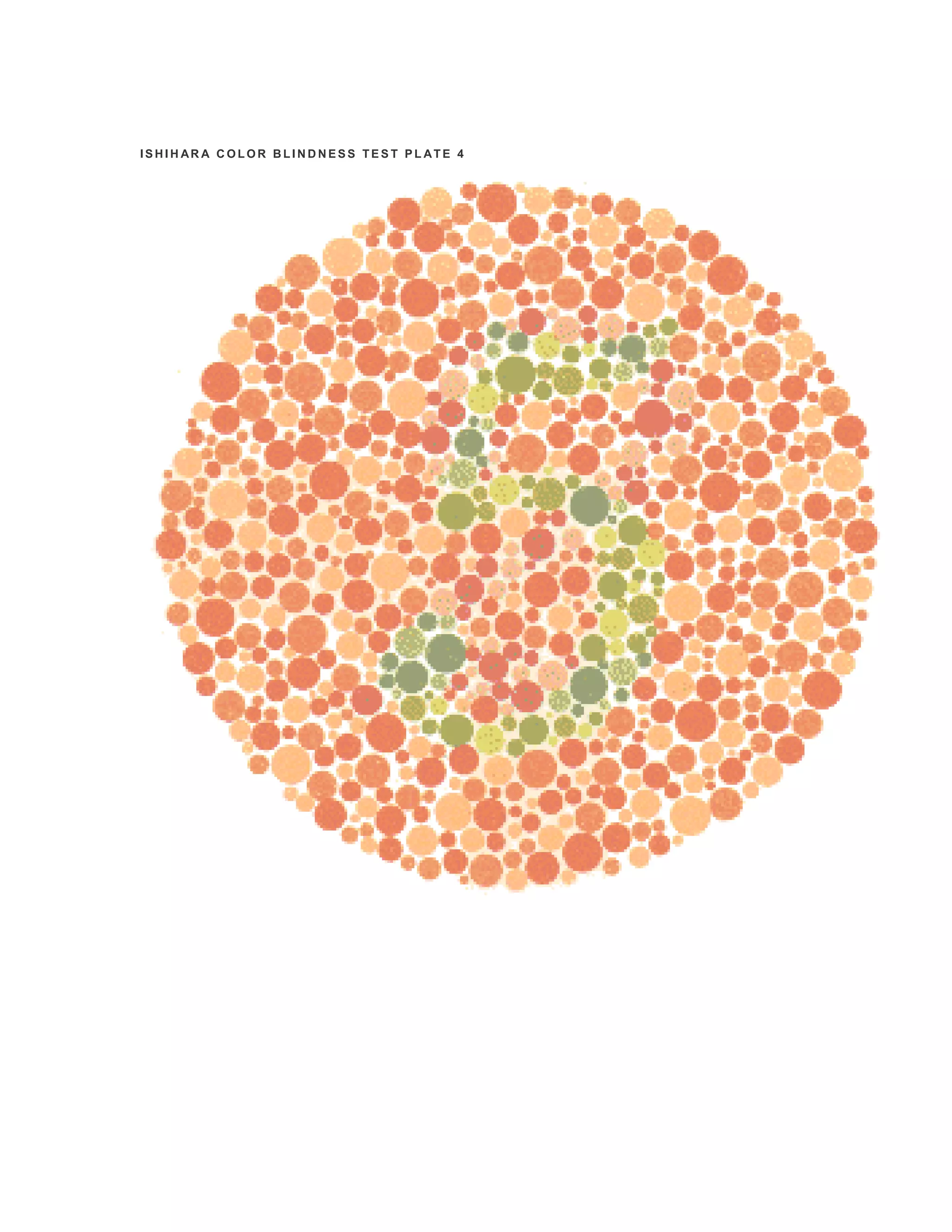 TEST BUTA WARNA | PDF