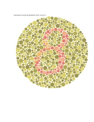 TEST BUTA WARNA | PDF