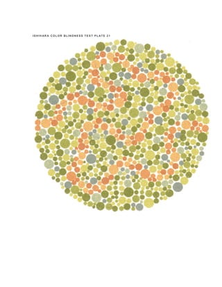 TEST BUTA WARNA | PDF