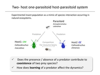 Learning predator promotes coexistence of prey species in host ...