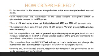 CRISPR - DEFINE, GOALS AND APPLICATIONS | PPTX
