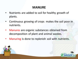 manures & fertilizers | PDF