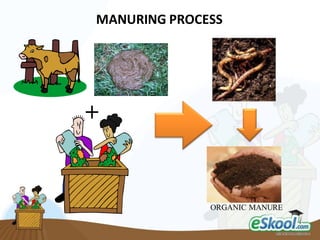 manures & fertilizers | PDF