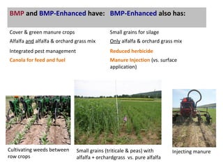 Sustainable Dairy Cropping Systems: The Virtual Dairy Farm | PPT