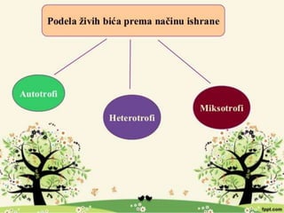 Ishrana | PPT