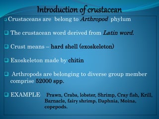 Fresh water crustacean ppt | PPT