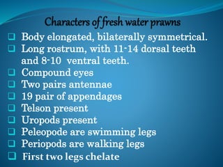 Fresh water crustacean ppt | PPTX
