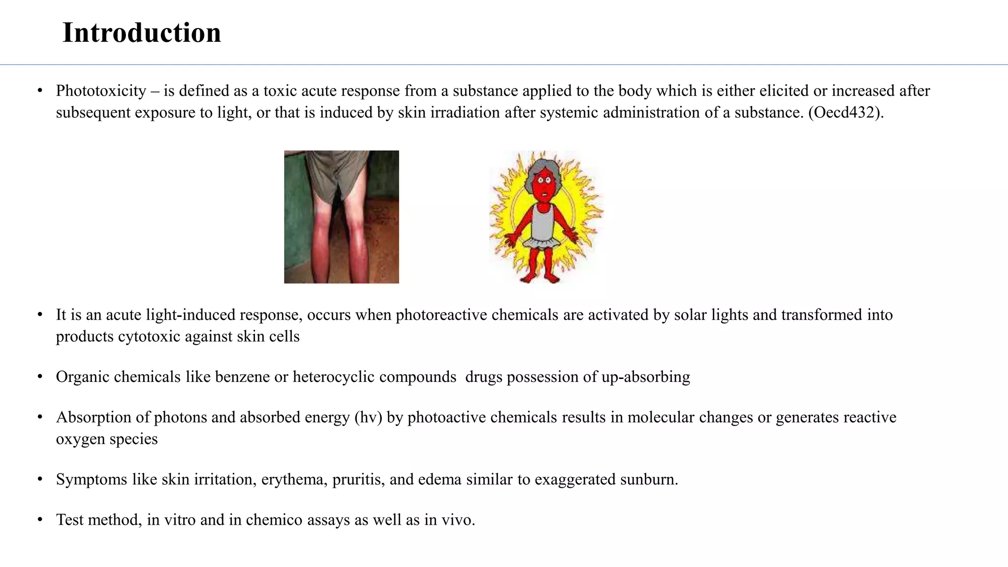 Phototoxicity / Phototoxicity testing | PPT