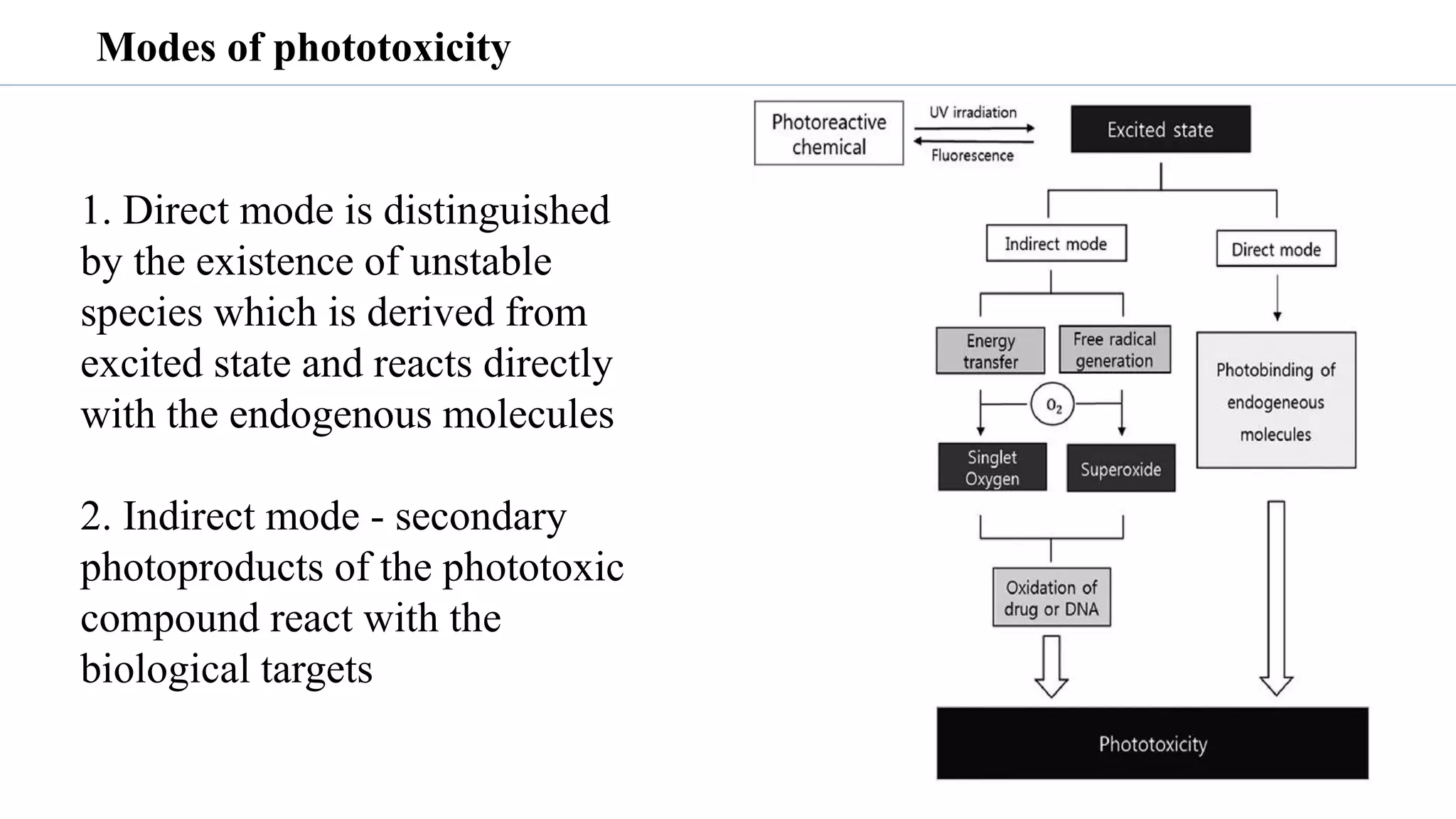 Phototoxicity / Phototoxicity testing | PPT