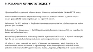 Phototoxicity / Phototoxicity testing | PPT