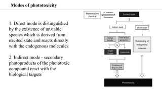 Phototoxicity / Phototoxicity testing | PPT