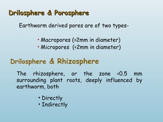 earthworm | PPT