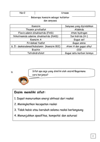 Kerja Enzim | PDF