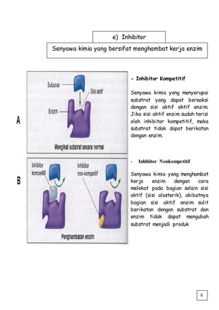 Kerja Enzim | DOCX