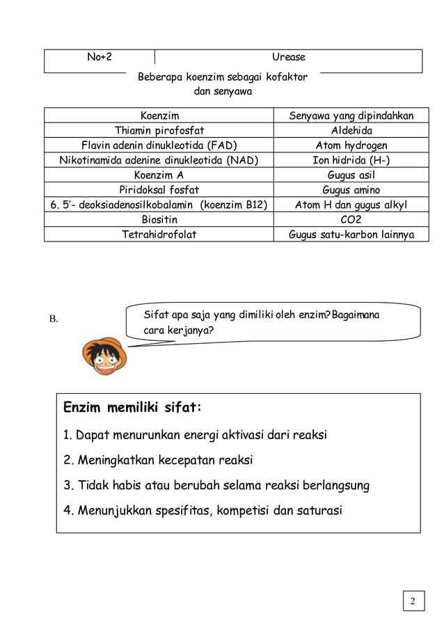 Kerja Enzim | PDF