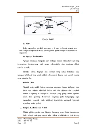 Penyusun batuan karbonat menurut Tucker | DOCX