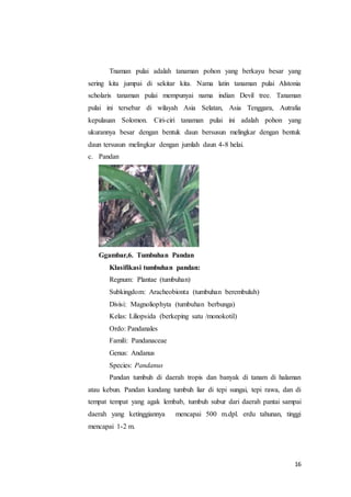 laporan perencanaan kehutanan | DOCX