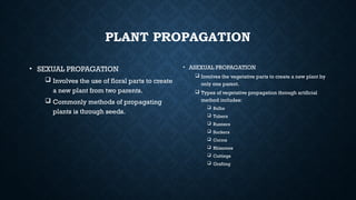 Vegetation, plant propagation (asexual reproduction) | PPT