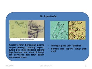 Isi atlas sedimen urin | PPTX