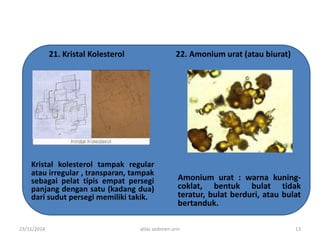 Isi atlas sedimen urin | PPTX