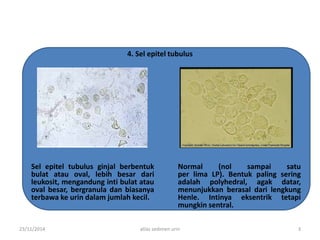 Isi atlas sedimen urin | PPTX
