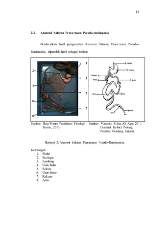 Laporan Praktikum Matakuliah Fisiologi Ternak Semester 2 Tahun 2013 | DOCX